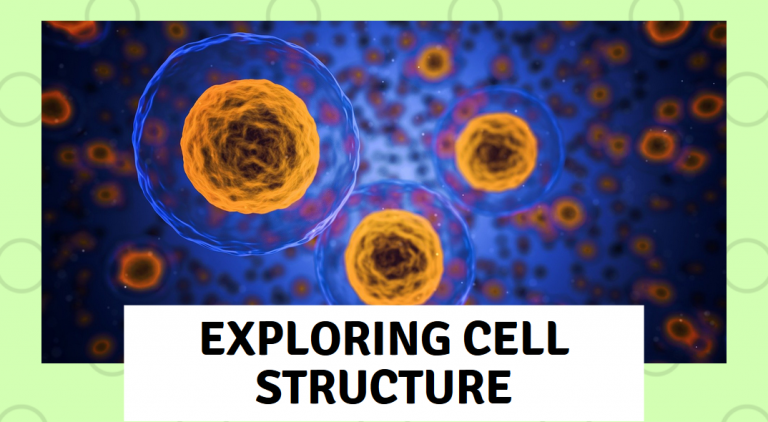 Cell Structure And Function - Science Trends
