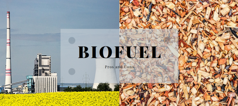 Biofuels Pros And Cons - Science Trends