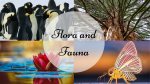 Flora And Fauna: Definition And Examples - Science Trends