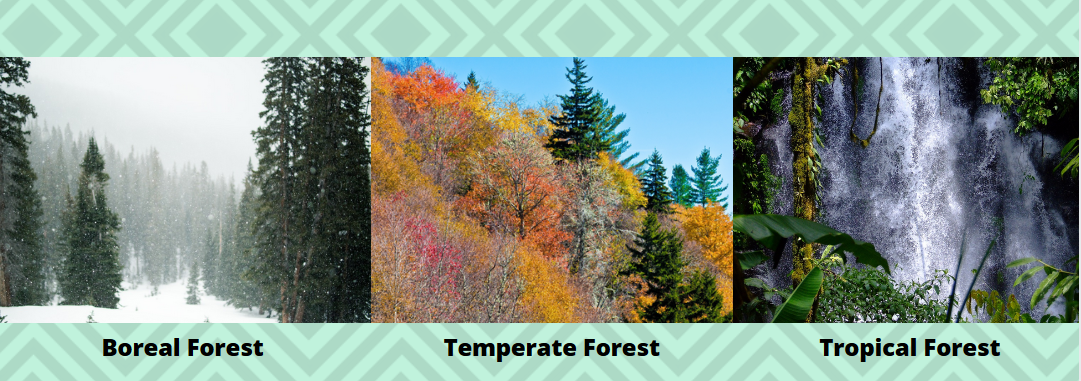 The Types Of Ecosystems - Science Trends