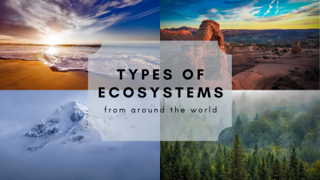 The Types Of Ecosystems - Science Trends