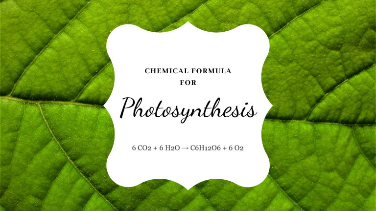 The Chemical Equation For Photosynthesis | Science Trends