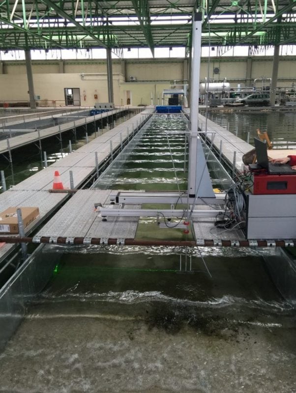 The Effects Of Vegetation On Turbulent Flow And Erosion In Coastal ...