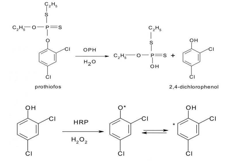 A New Approach To The Electrochemical Detection Of Organophosphorus ...