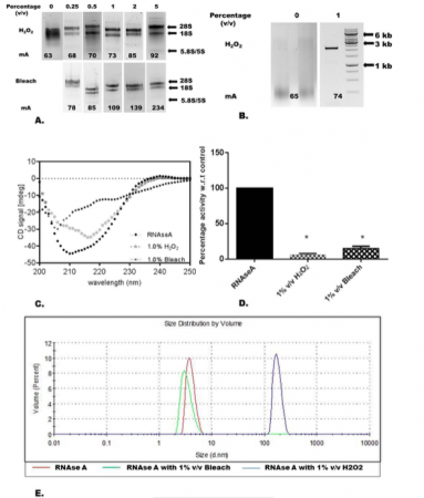 Hydrogen Peroxide Belongs In Every Home And – YES! – Every Lab, Too ...
