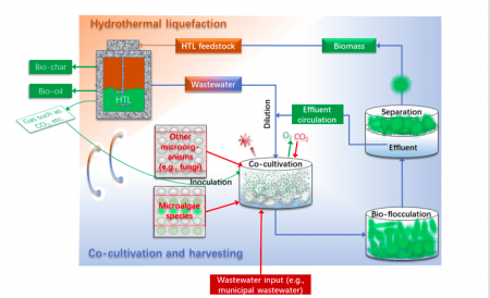 Closing The Loop For Bio-Oil Production From Microalgae By Hydrothermal ...
