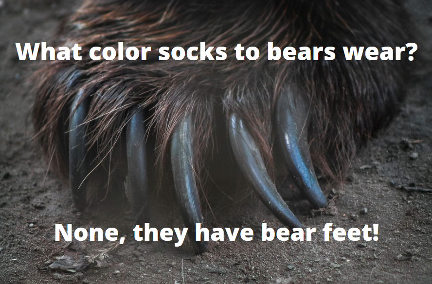 25 Clever Riddles For Kids - Science Trends
