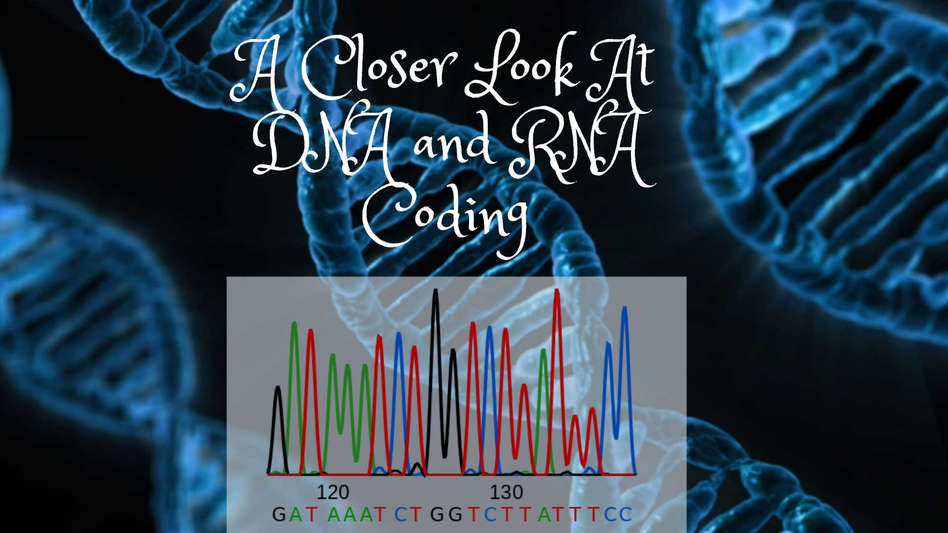 Codon Chart Table The Nucleotides Within DNA And RNA Science Trends