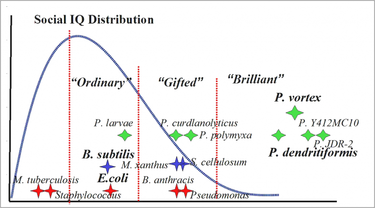 Average IQ Score: What Is Normal? - Science Trends