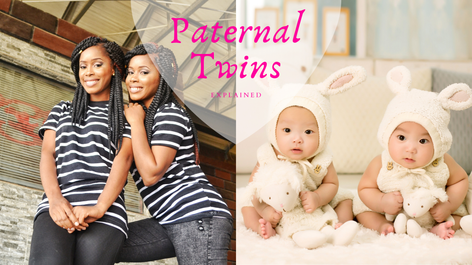 What Are Paternal Twins? - Science Trends