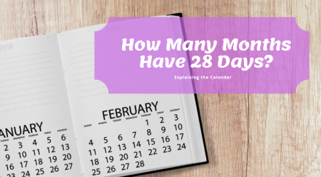 How Many Months Of The Year Have 28 Days? - Science Trends