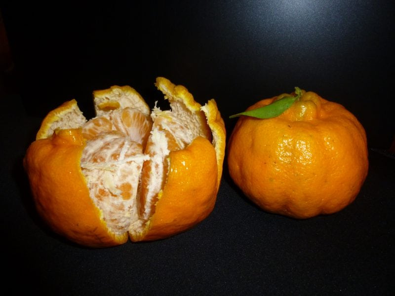 Ponkan Peels As A Source For Pectin Extraction - Science Trends