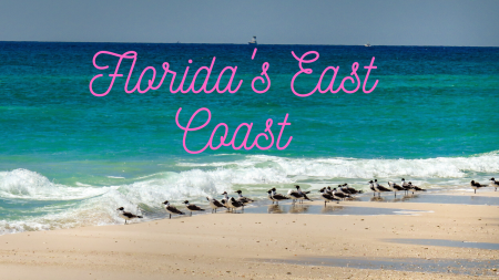 Map Of Florida East Coast: Beaches And Cities - Science Trends