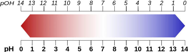 What Is The pH Of Distilled Water? - Science Trends
