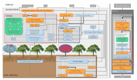Modeling Energy Balance In Complex Agroforestry Systems - Science Trends