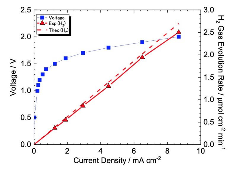 Hydrophobic Electrocatalyst And Inorganic Porous Electrolyte Layers For ...