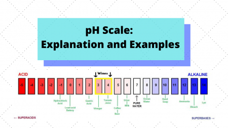 What Does pH Stand For And Mean? - Science Trends
