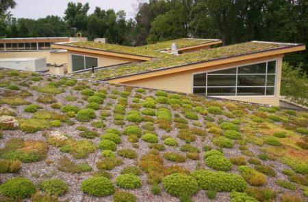 Applying Simple Techniques To Develop Smarter Green Roof Substrates ...