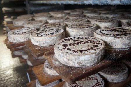 Ancient Cheese Found Preserved In Egyptian Tomb - Science Trends