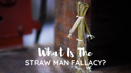 Straw Man Fallacy: Example Arguments - Science Trends