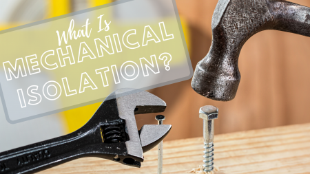 Mechanical Isolation: Examples And Definition - Science Trends