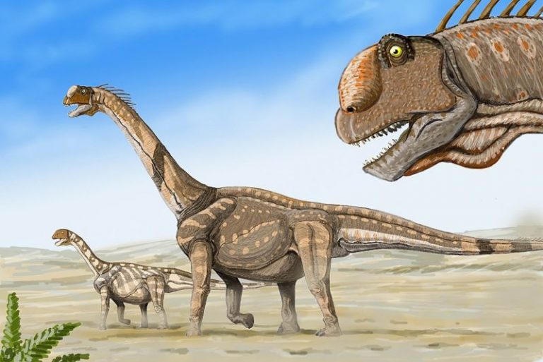 Long Neck Dinosaurs: Names And Characteristics | Science Trends