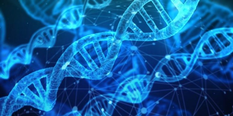 5 Examples Of Nucleic Acids For Biology Class - Science Trends