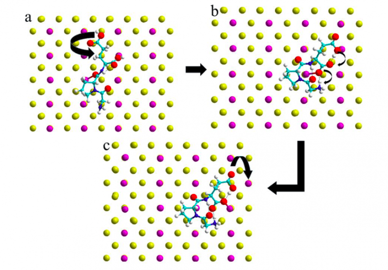 GLY-PRO-GLU Tripeptide Gold Surface Reconstruction Investigated At The ...