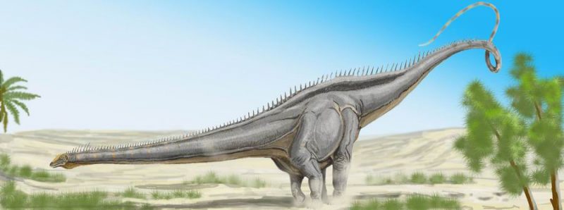 Long Neck Dinosaurs: Names And Characteristics | Science Trends