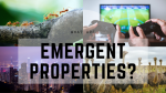 What Are Emergent Properties? Definition And Examples - Science Trends