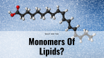 What Are The Monomers Of Lipids? - Science Trends