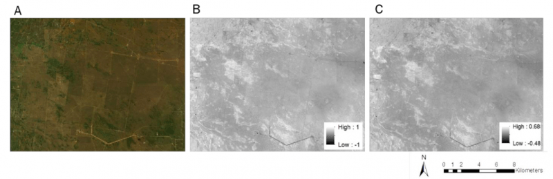 Using NDVI And OSAVI To Monitor Rangeland Health - Science Trends
