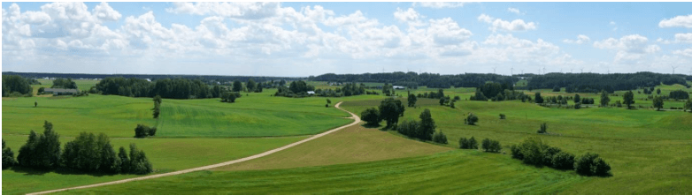 What “Bee Services” Can Different Temperate Lowland Ecosystems Really ...