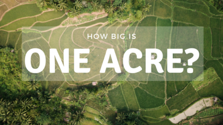 How Many Feet Are In 1 Acre? - Science Trends