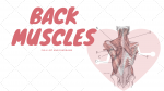 Back Muscles: Names And Diagram - Science Trends