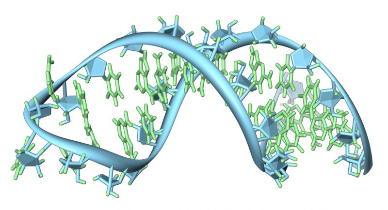 Nucleic Acid Monomer - Science Trends