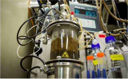 E. coli Takes On Biofuels - Science Trends