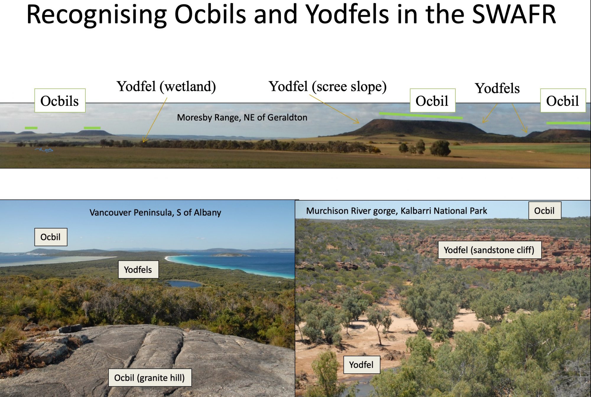 Hybridization Rates Are Reduced On The World’s Oldest Landscapes ...