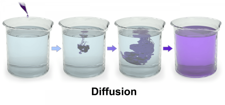 Hypertonic Solution: Definition And Role In Cell Biology | Science Trends