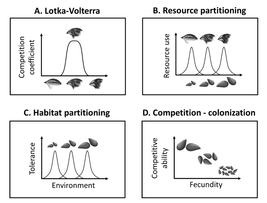 Trait-Based Clustering As An Indicator Of Species Competition - Science ...