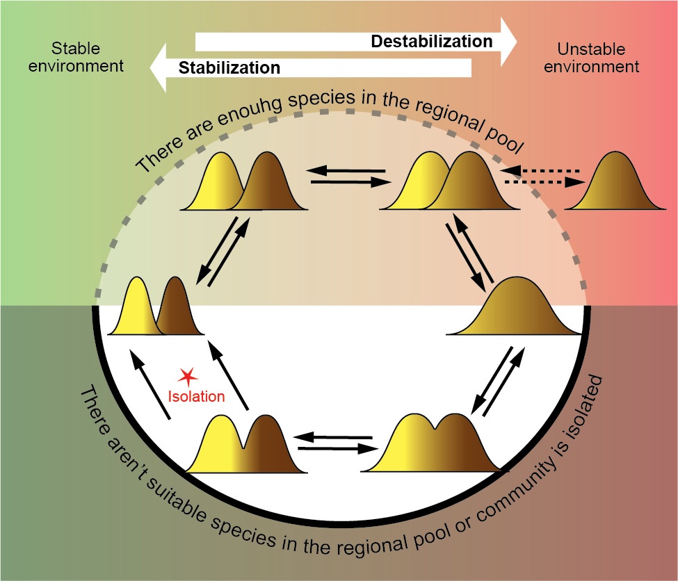 The Principle Of Optimal Biodiversity: Why Nature Needs Diversity And ...
