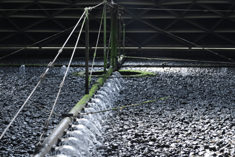 Phosphorus Recovery – A Voyage From Sewage Sludge To Johannes Vermeer ...