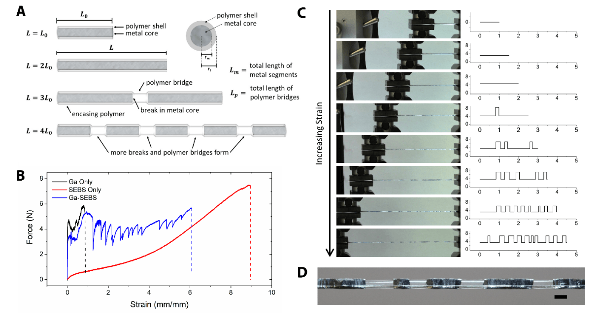 The Best Of Both Worlds: Creating A Strong, Stretchable Fiber For A ...