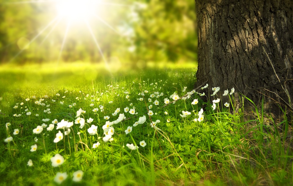 5 Examples Of Abiotic Factors | Science Trends