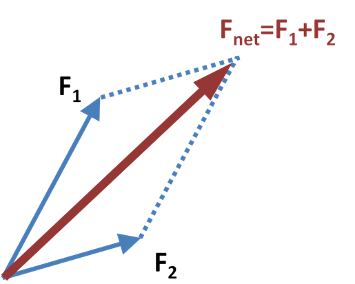 5 Unique Properties Of Parallelograms - Science Trends