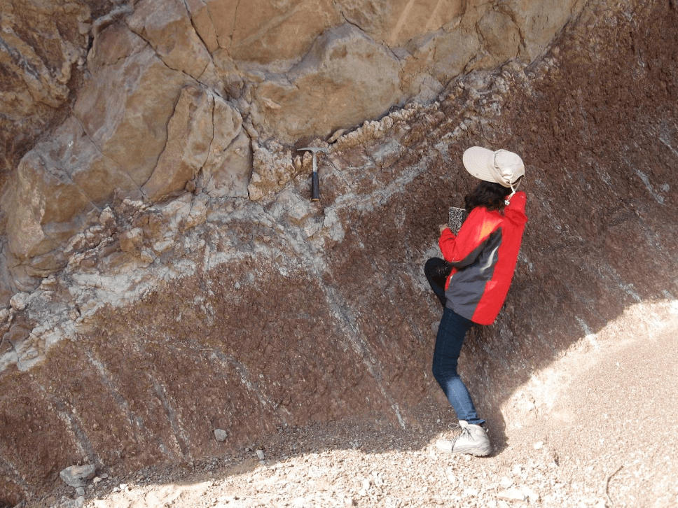 Devonian World Revealed - Science Trends