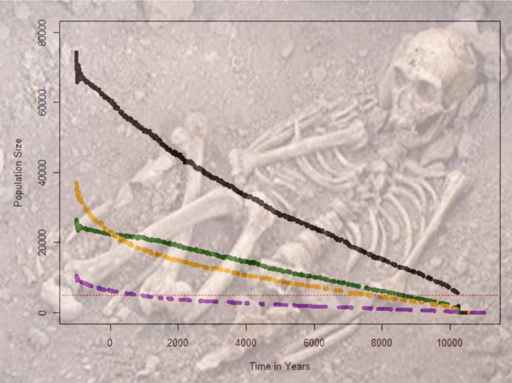 How Did The Decline Of Neanderthals Occur? - Science Trends