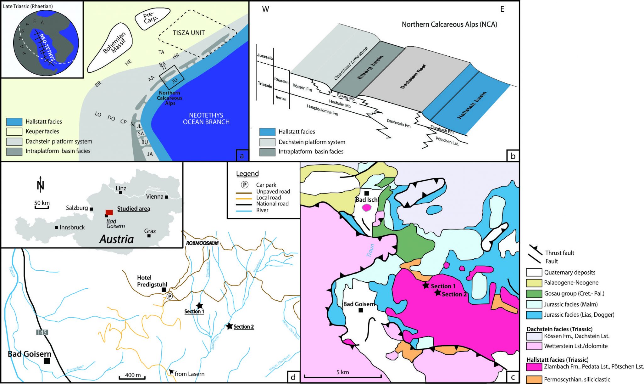 Environmental Changes In The Late Triassic – A Critical Time In Earth’s ...