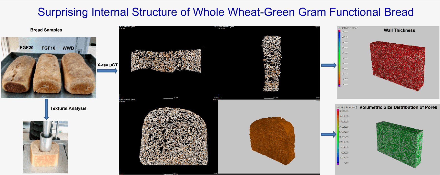 Surprising Internal Structure Of Whole Wheat-Green Gram Functional ...